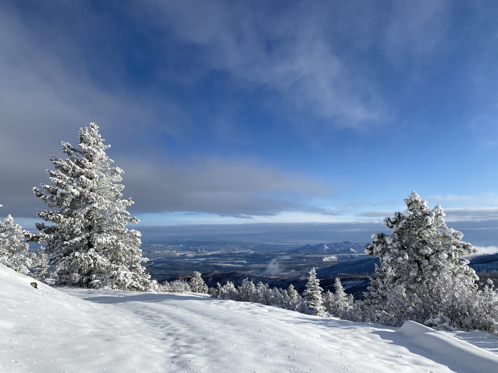 Pajarito Ski & Ride - Pajarito Mountain Ski Area