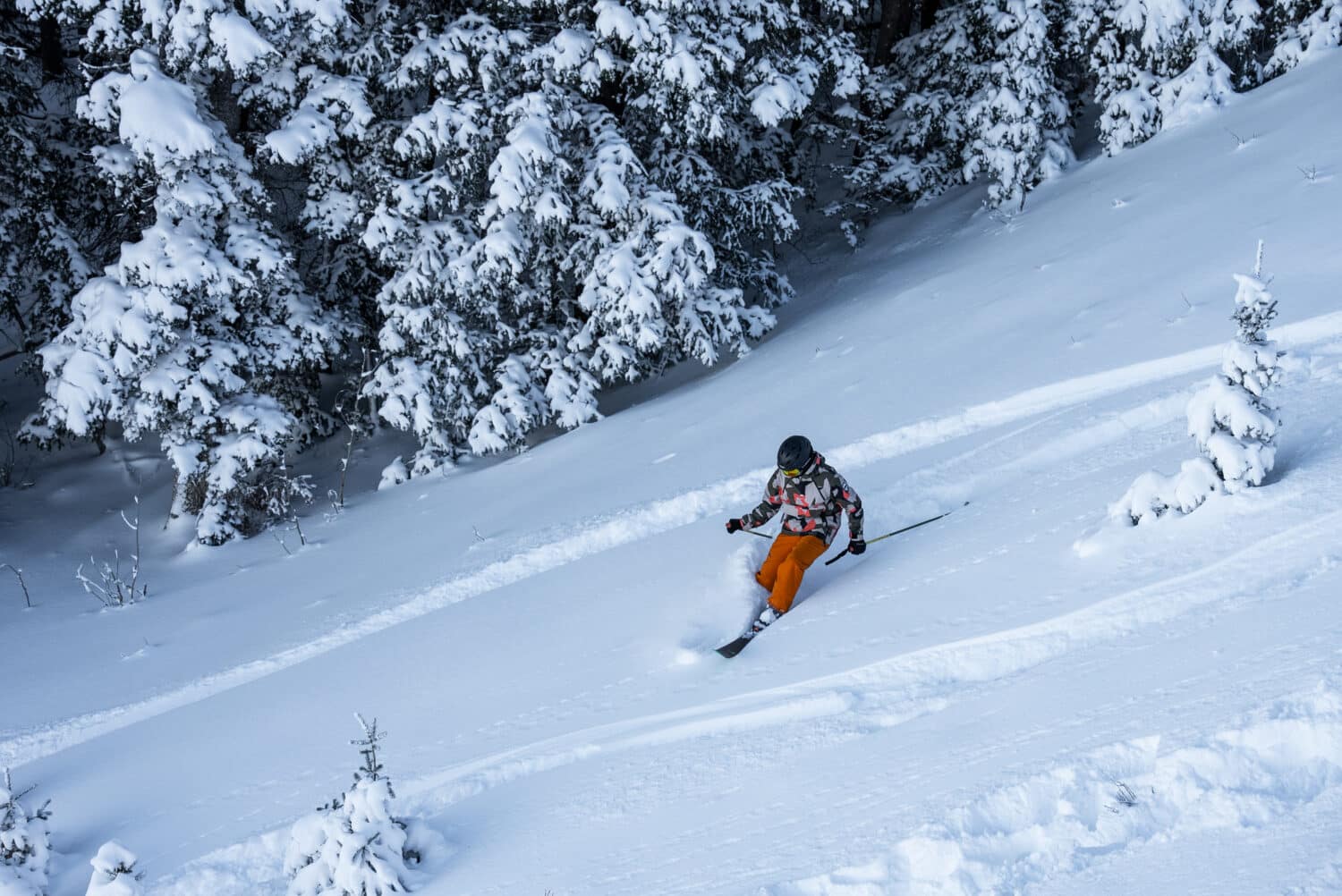Pajarito Ski & Ride - Pajarito Mountain Ski Area