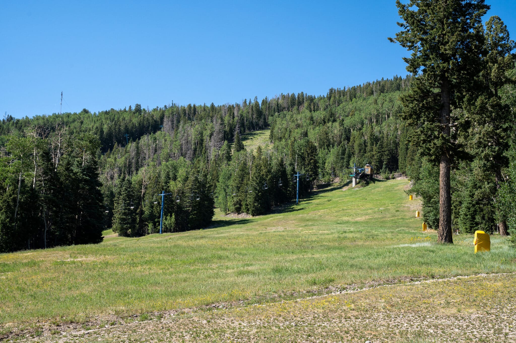 Pajarito Mountain Ski, Snowboard, and Mountain Bike - Pajarito Mountain ...