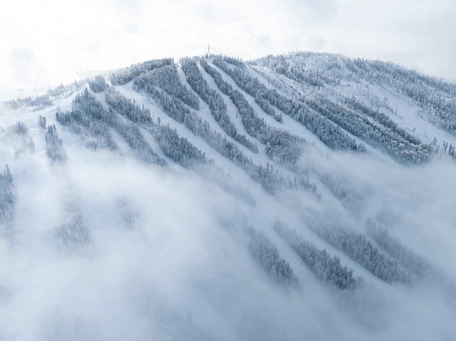 Pajarito Trail Maps - Pajarito Mountain Ski Area